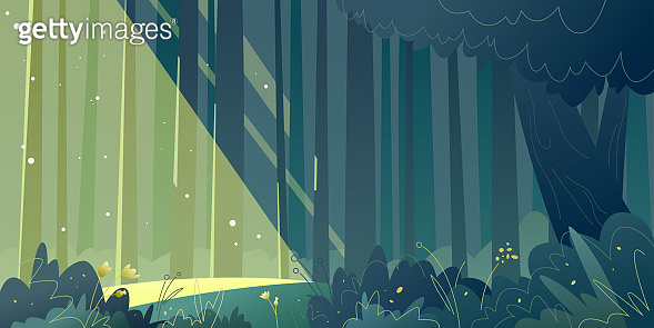 Horizontal forest landscape. Sunlight breaks through the dark forest ...