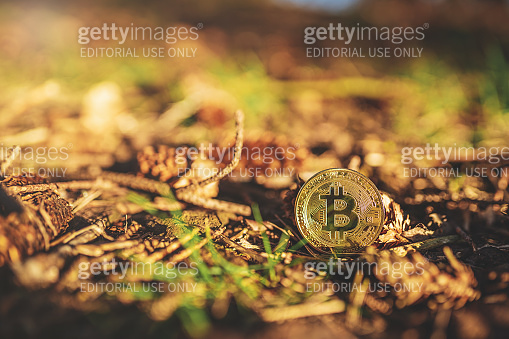 Single physical Bitcoin coin outdoor on the ground in a forest 이미지 ...