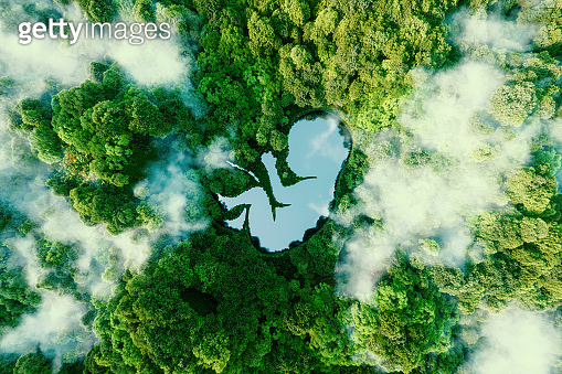 Concept depicting the self-renewing processes of nature and new life in ...