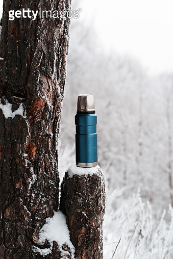 Camping vacuum flask and winter wood. Thermos standing on a stump. Hot ...