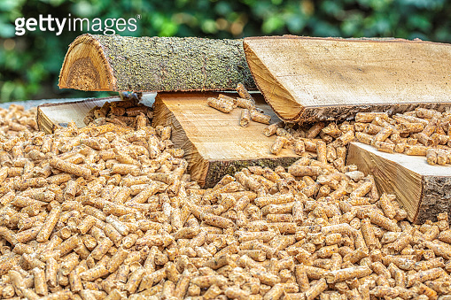 tree trunks and wood pellets. 이미지 (1299307534) - 게티이미지뱅크
