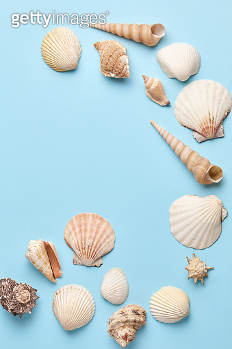 summer concept. frame made of shells and seashells on light blue ...