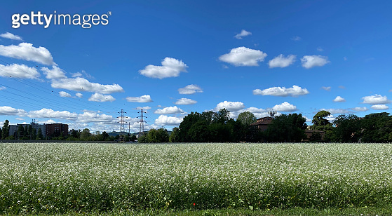 Panoramic view of the countryside of Bologna in spring. Pianura Padana ...
