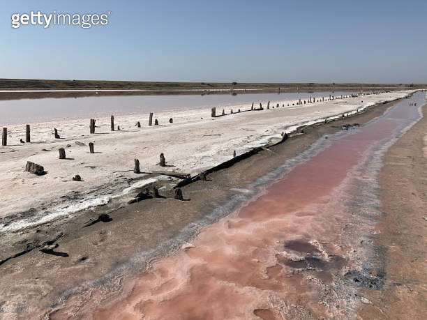 A beautiful salt lake with pink water. Beautiful view of pink lake on ...