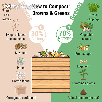 Infographic of garden composting bin with scraps. What to compost ...