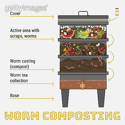 Infographic of vermicomposting. Components of vermicomposter ...