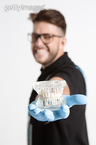 Smiling male dentist with dental jaw model or teeth denture in hand on ...