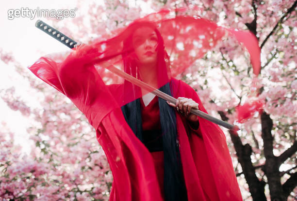 Young woman portrays geisha with sword in her hand near blooming sakura ...