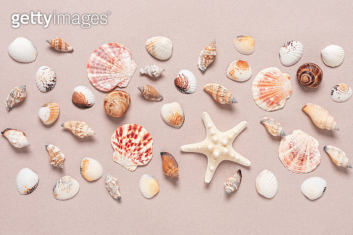 Beautiful summer composition of various seashells. Seashells and ...