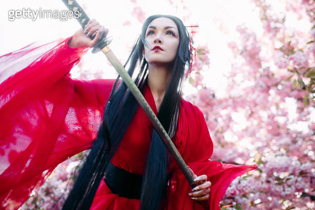 Young woman portrays geisha with sword in her hand near blooming sakura ...