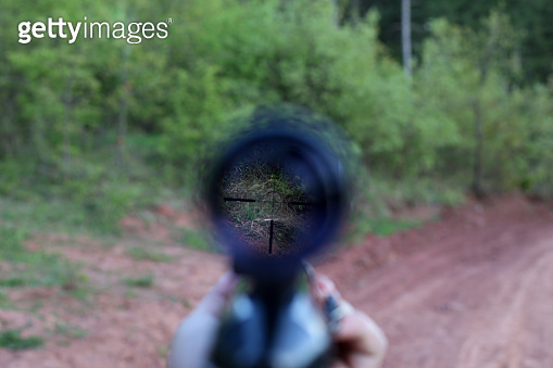 Rifle target view on Natural Background. Image of a rifle scope sight ...