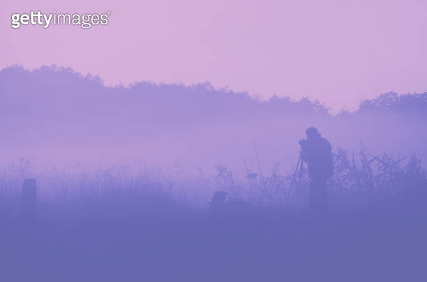 Very Peri Pink Tranquility Fog Sky Dramatic Ombre Landscape Sunrise ...