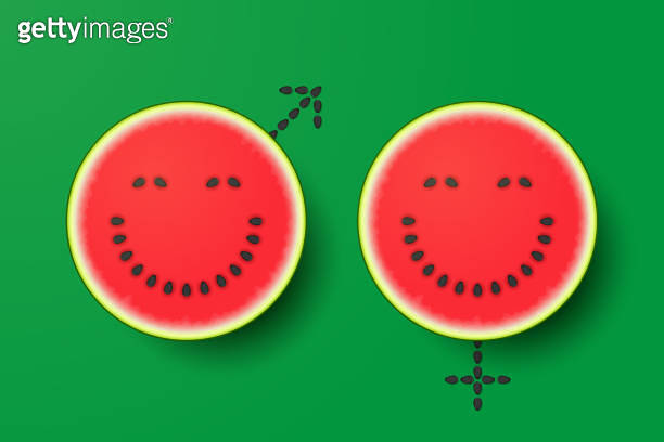 Male and female gender symbols made from watermelons and seeds ...