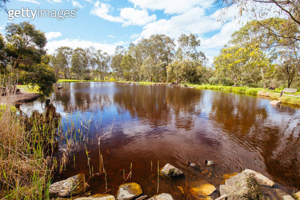 Darebin Parklands in Melbourne Australia 이미지 (1341666664) - 게티이미지뱅크