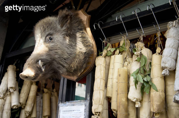 Wild boar head on a delicatessen store. 이미지 (1350169143) - 게티이미지뱅크