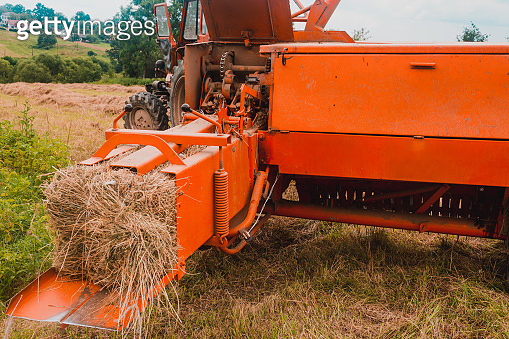The process of harvesting hay for cattle, a tractor making bales in the ...