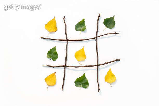 Creative autumn concept. Tic-tac-toe, noughts and crosses between ...