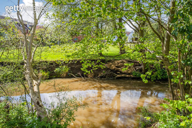 lake sunlight water spring river shore scenic landscape nature reserve ...