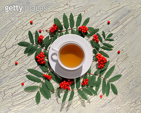 Cup of black tea. Rowan berry, natural Autumn background with ...