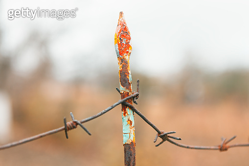 Barbed Wire with Metal Pin (1304442430) - 게티이미지뱅크