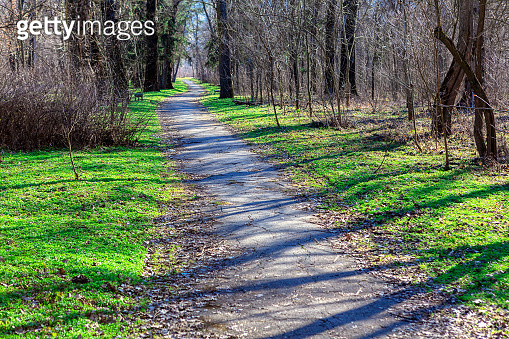 Walking trail in the spring park 이미지 (1309747563) - 게티이미지뱅크