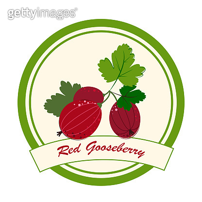 Red Gooseberry Jam and Marmalade Label. Ripe Berries for Jam, Dessert ...