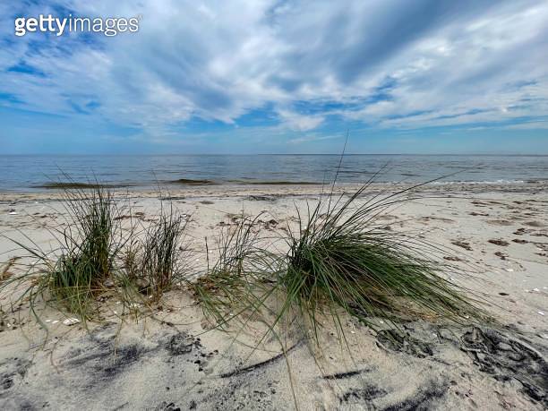 Chesapeake Bay scenic view flag ponds nature park Calvert county ...