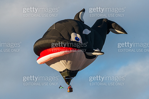 Happy Orca hor air balloon flying at the Albuquerque International ...