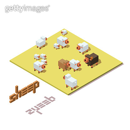 Flock of sheep. Isometric 3d vector illustration. Icon for web ...