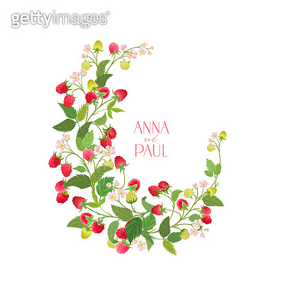 Boho raspberry floral wedding vector frame. Watercolor berries, flowers ...