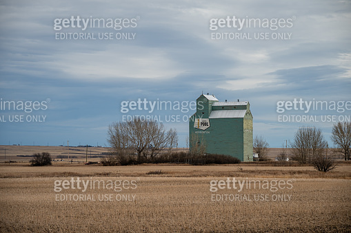 Herronton's old Wheat Pool Grain elevator (1355197124) - 게티이미지뱅크
