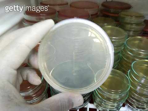 906 Skin scraping specimen for fungal culture and sensitivity test ...