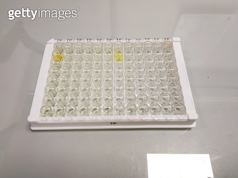 Elisa test plate for TPHA, Syphilis test. 이미지 (1350434952) - 게티이미지뱅크