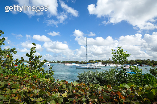 Tropical harbour with boats and yachts. Caribbean travel destination ...
