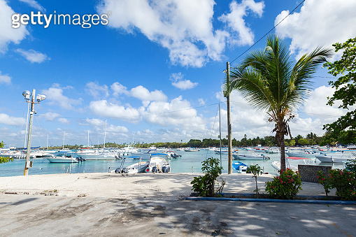 Tropical harbour with boats and yachts. Caribbean travel destination ...