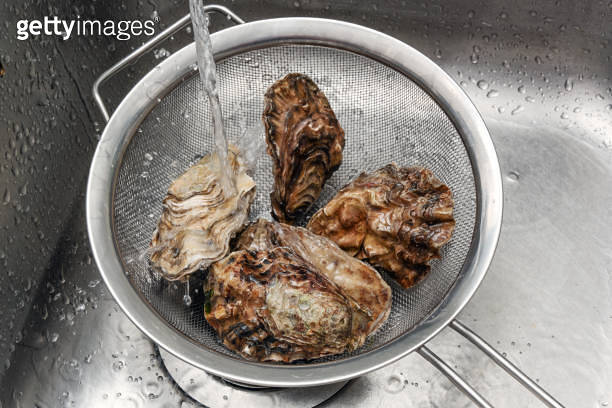Fresh oysters are washed with clean water in a sieve in the sink ...