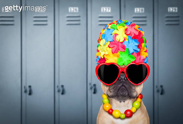 dog swim cap and goggles in locker room 이미지 (1293635848) - 게티이미지뱅크