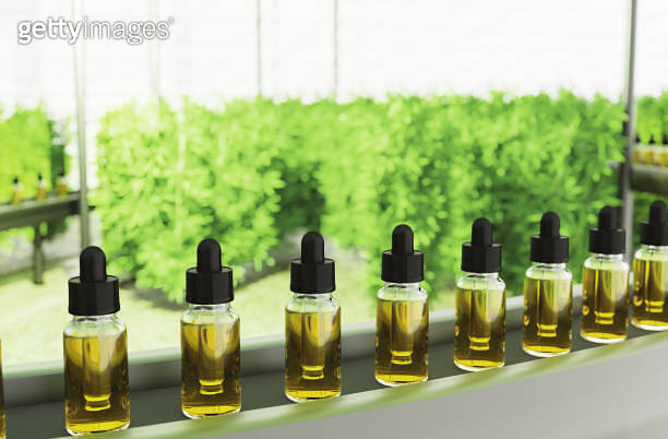 CBD oil production inside a hydroponics farm 이미지 (1326457336) - 게티이미지뱅크