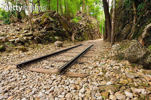 forest pathway with old railroad track surrounding with natural tree ...