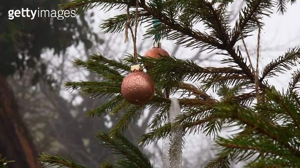 Raindrops on bronze colored Christmas balls hanging at Christmas tree ...