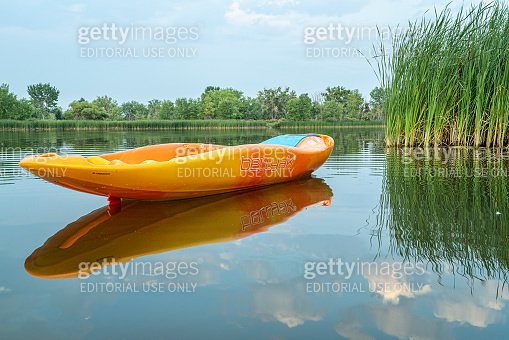 Bellyak prone kayak in reeds at lake shore (1332905391) - 게티이미지뱅크
