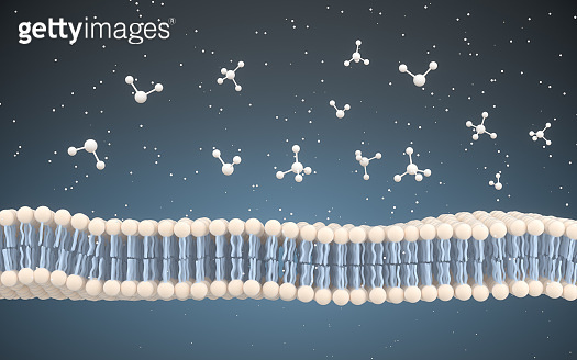 Cell Membrane and Molecules, 3d rendering. (1333720183) 일러스트, 무료 일러스트 ...
