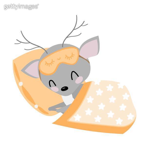 cute sleeping grey fawn on pillow with blanket on the white background ...