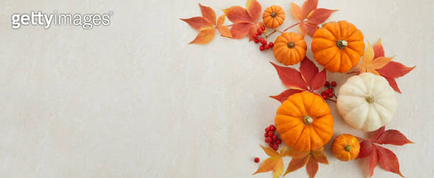 Autumn framework from pumpkins, berries and leaves on a travertine ...