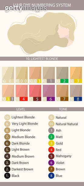 Stock vector palette with hair dye numbering system, levels, tones and ...