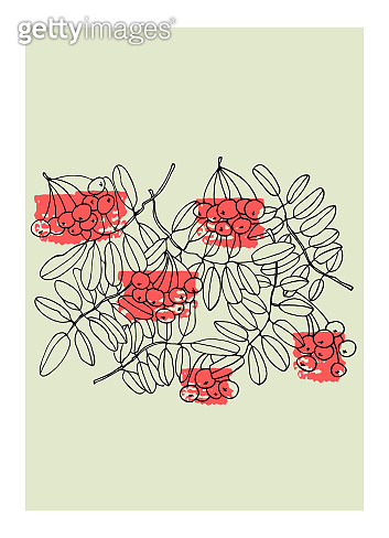 Decor printable art. Hand drawn illustrations of rowan tree branches ...