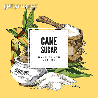 Cane sugar frame with label and sugar products, engraving vector ...