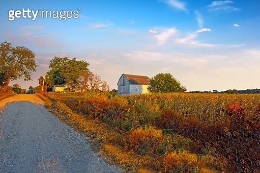 Country Road at sunrise-with corn field and barn-Fulton County, Indiana ...