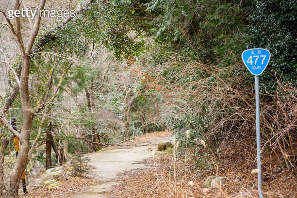 National highway sign of abandoned route 477 surrounded by dense trees ...