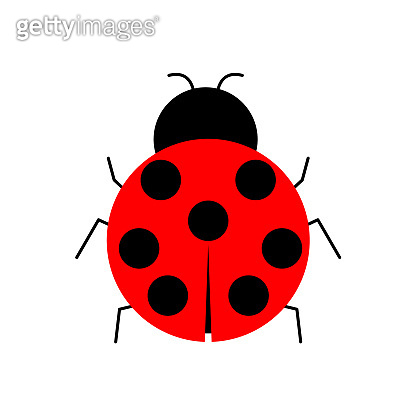 Flat and simple ladybugs illustration 이미지 (1352021281) - 게티이미지뱅크